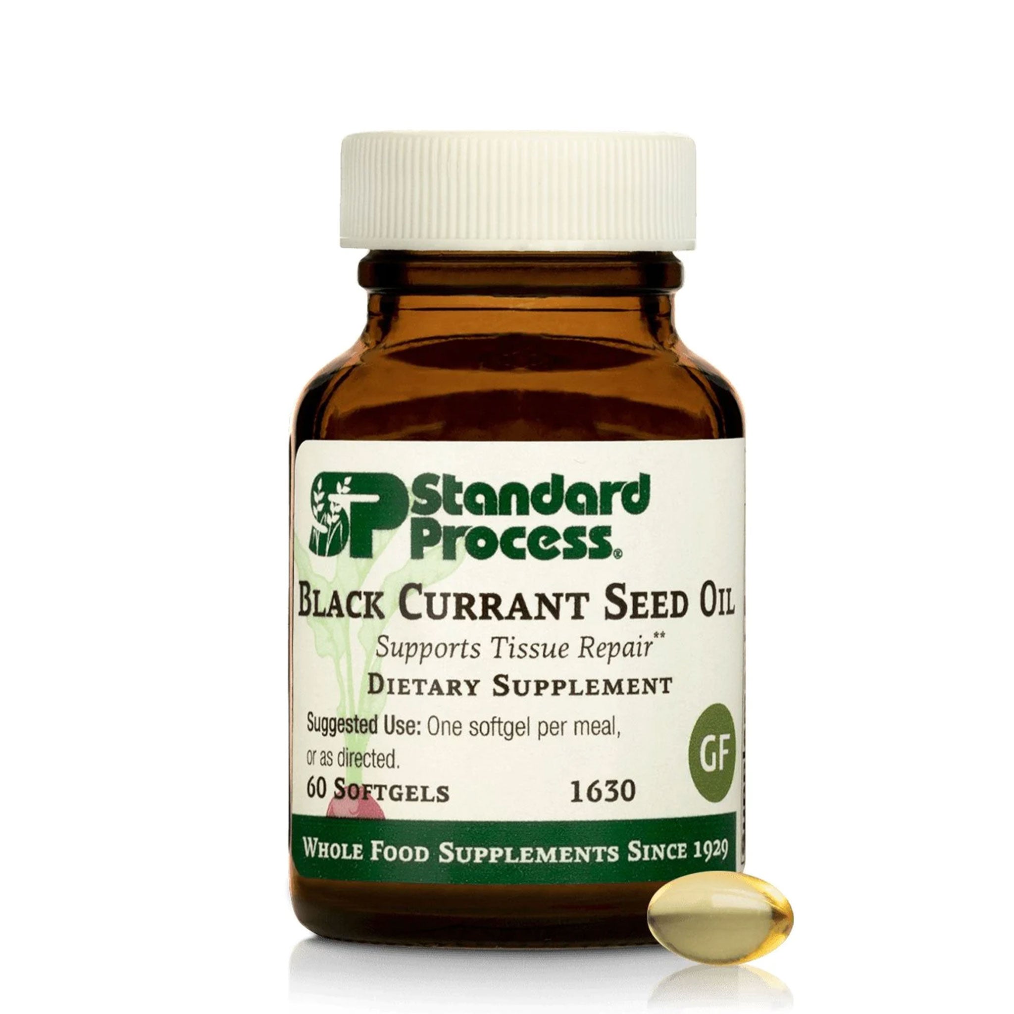 Black Currant Seed Oil – Discover Health Chiropractic Webstore
