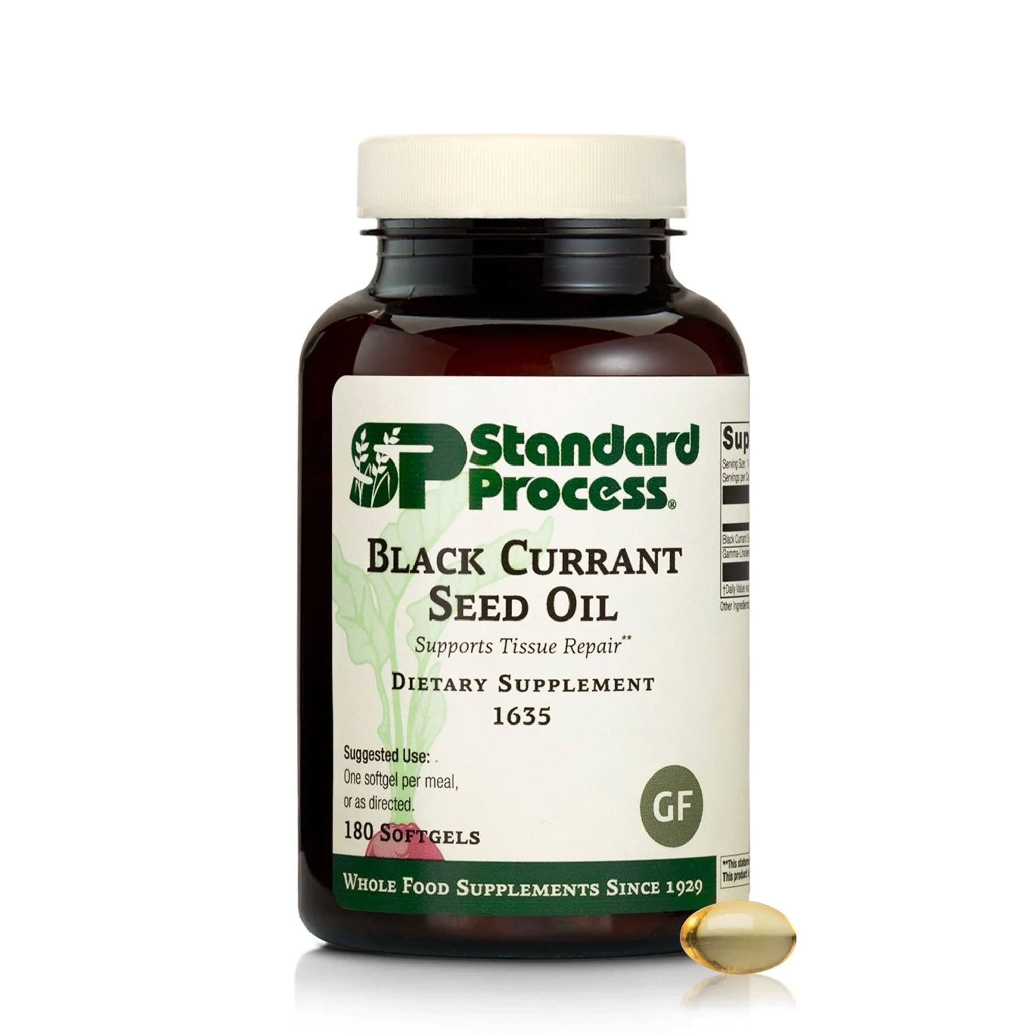 Black Currant Seed Oil – Discover Health Chiropractic Webstore